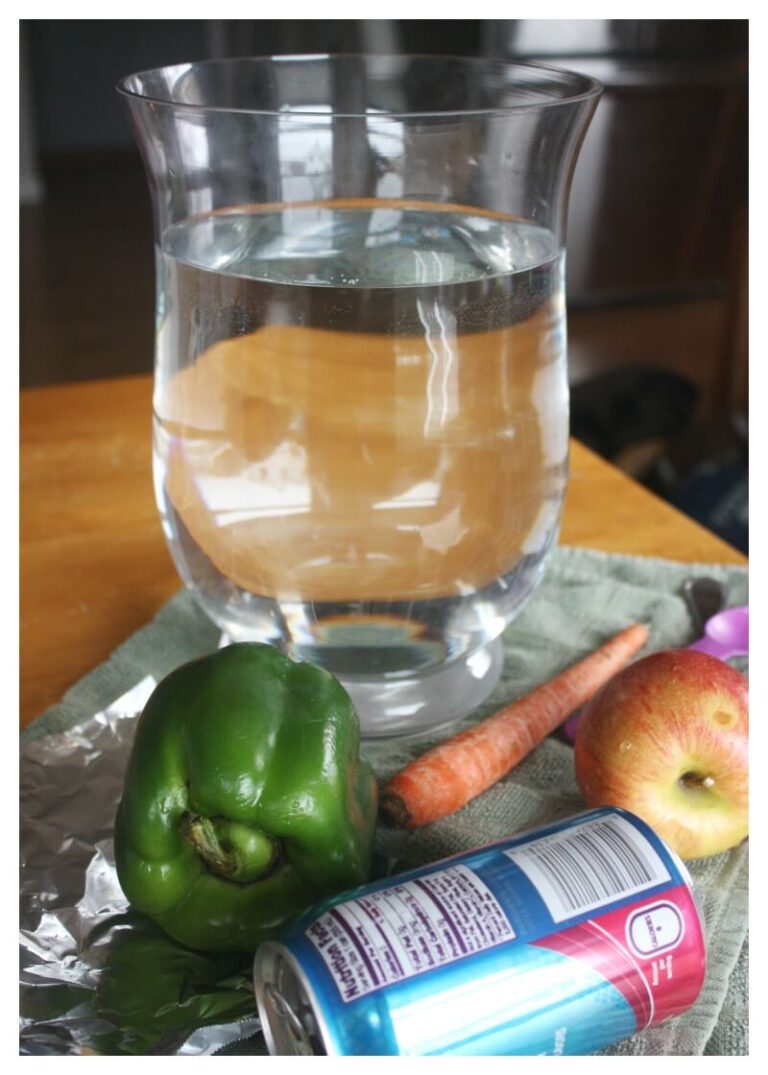Sink & Float Water Experiment! - Critchlow Adkins Children's Centers