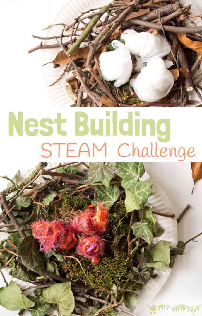 Build a Bird’s Nest! - Critchlow Adkins Children's Centers