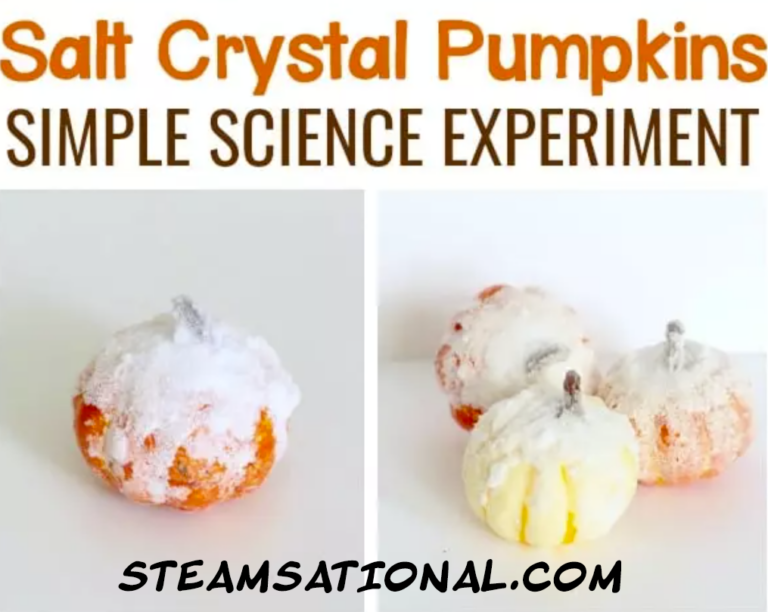 Salt Crystal Pumpkins! - Critchlow Adkins Children's Centers