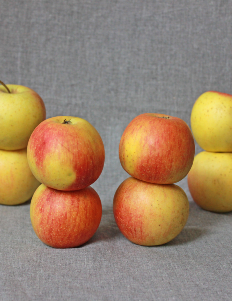 Apple Stacking! - Critchlow Adkins Children's Centers