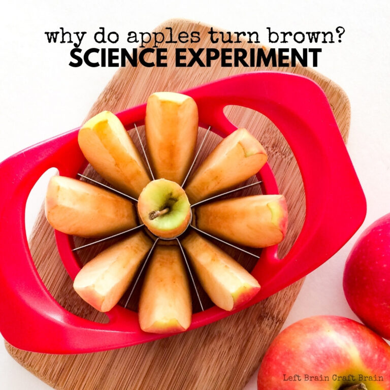 Why Do Apples Turn Brown? - Critchlow Adkins Children's Centers