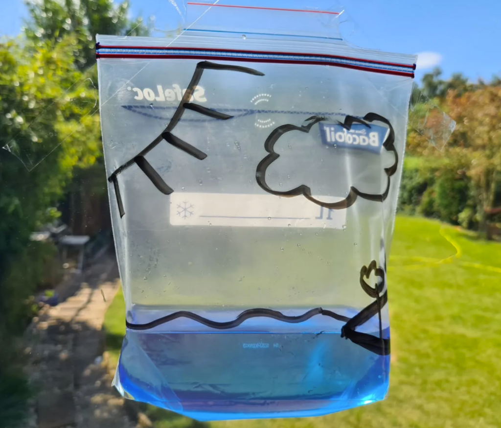 Water Cycle in a Bag! - Critchlow Adkins Children's Centers