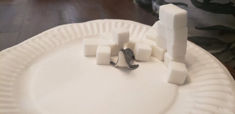 Sugar Cube Igloos! - Critchlow Adkins Children's Centers