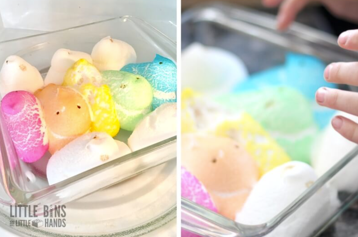 Peeps Science! - Critchlow Adkins Children's Centers