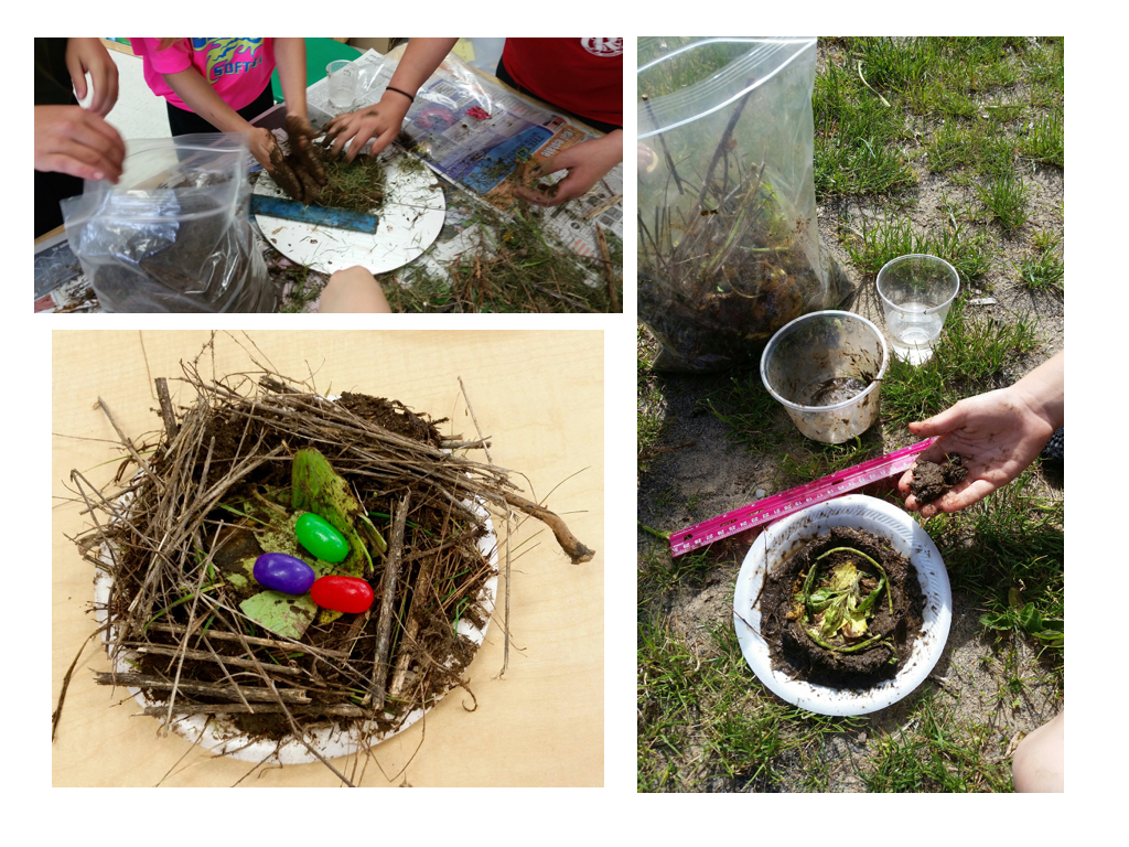 Build A Bird Nest! - Critchlow Adkins Children's Centers
