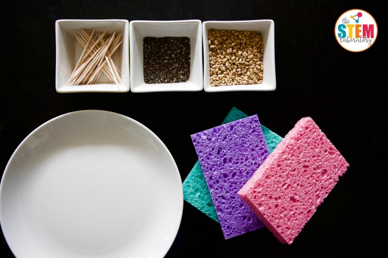 Sprout House! - Critchlow Adkins Children's Centers